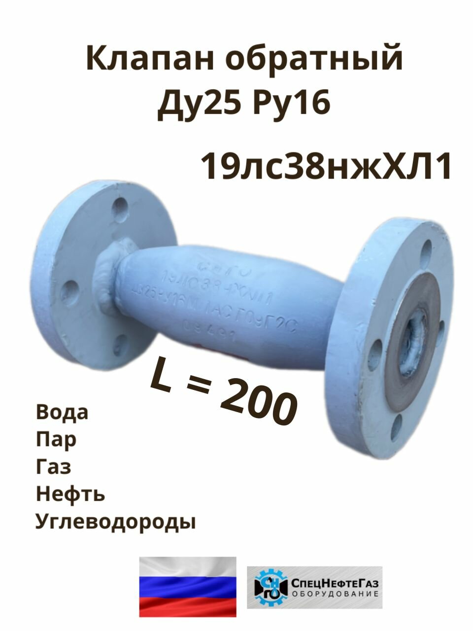 Клапан обратный Ду25 Ру16 19лс38нжХЛ1 фланцевый сталь 09г2с