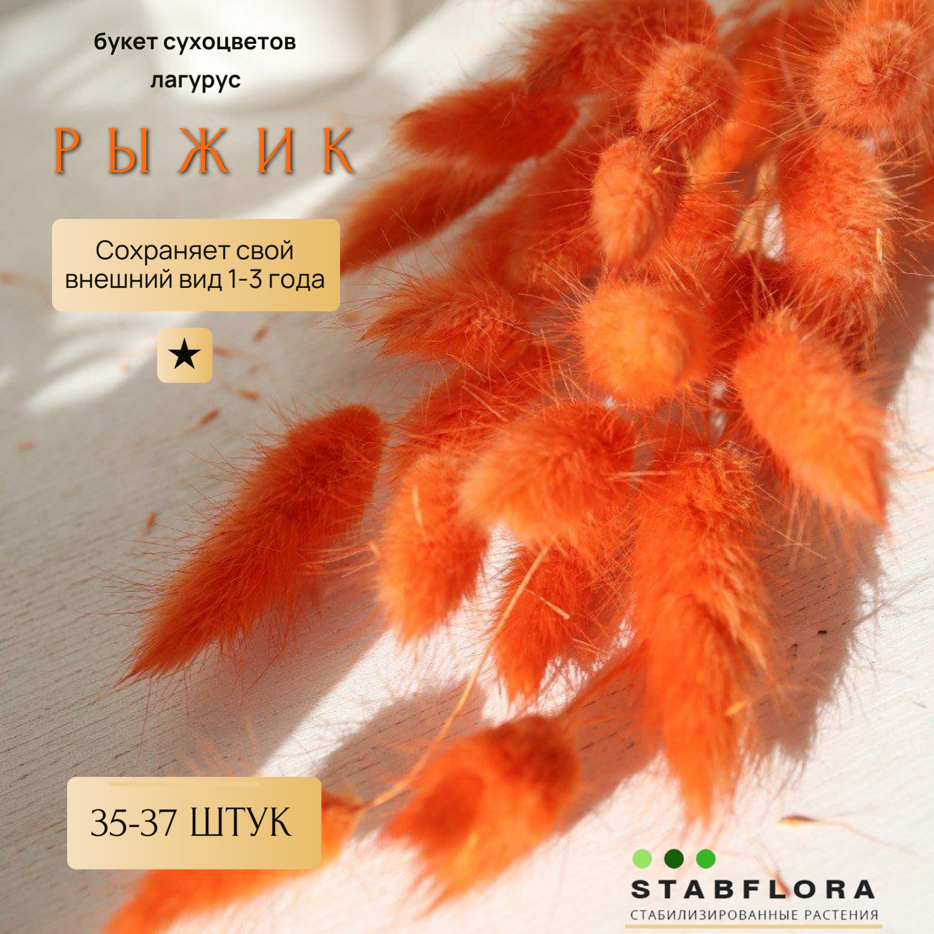 Сухоцвет Лагурус оранжевый для декора, букет "Зайцехвост" (35 штук)