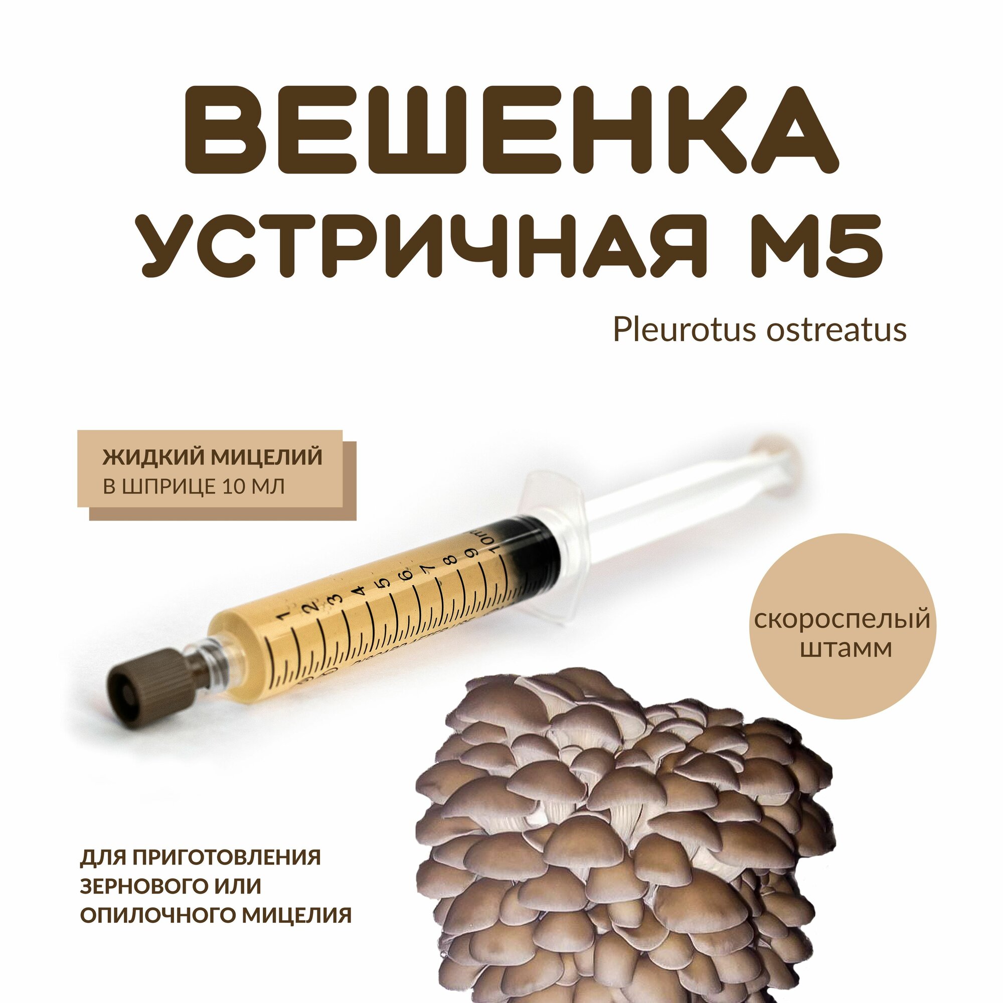 Жидкий мицелий вешенки устричной М5