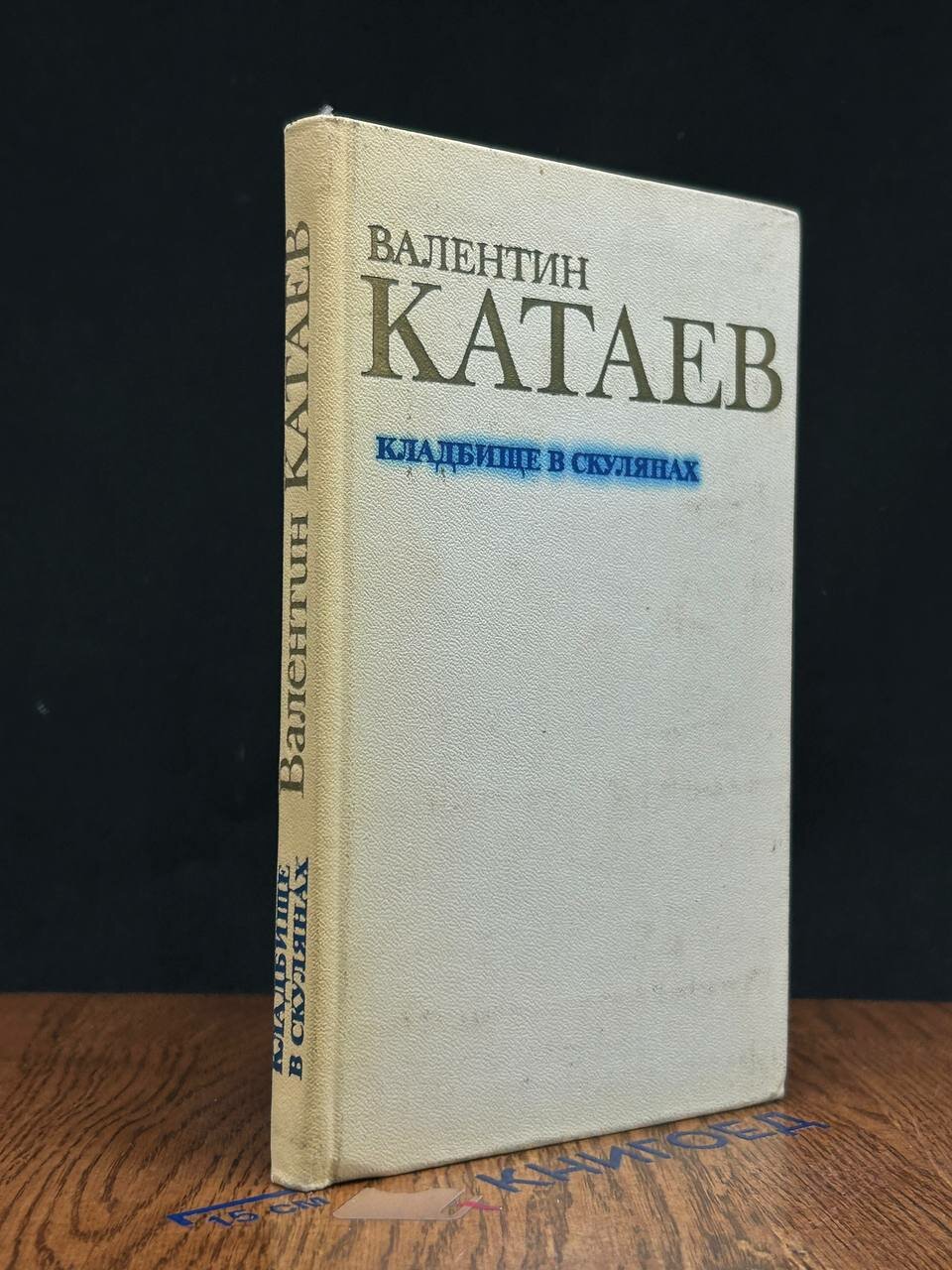 Книга. Кладбище в Скулянах 1976 (2043461066343)