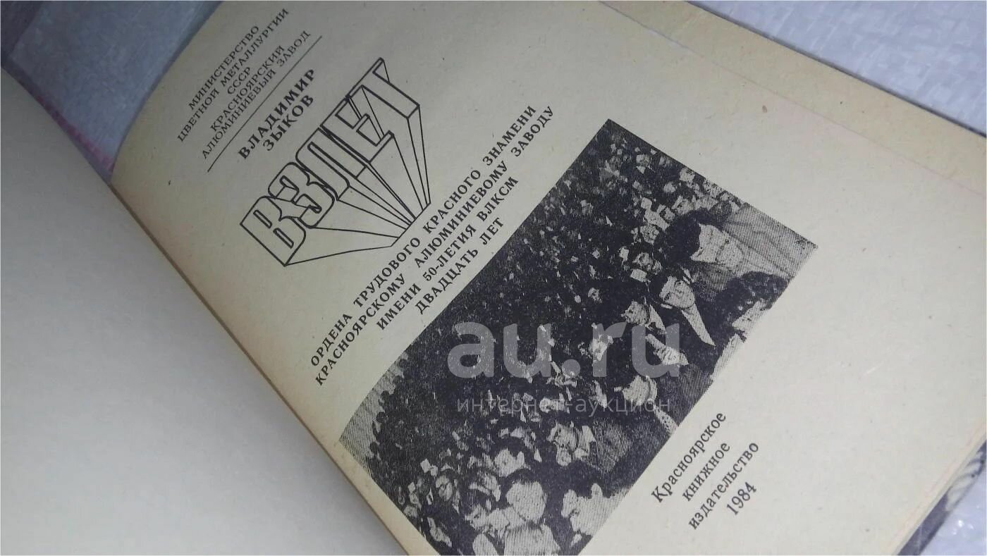 Владимир Зыков Взлет — фото 1