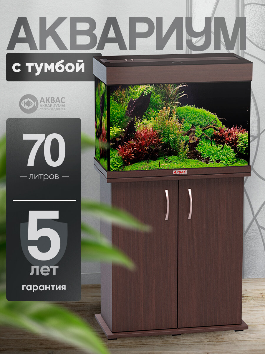 Аквариум 70 литров с тумбой крышкой и освещением (61*31*46 см) Аквас