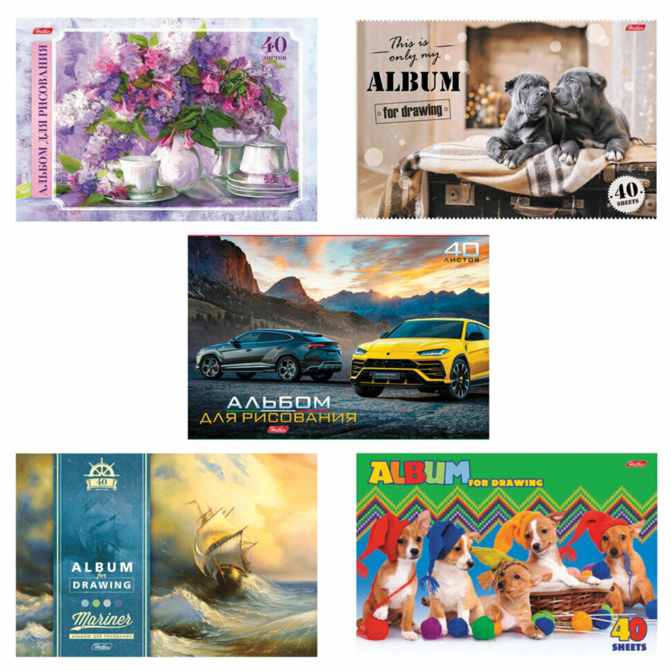 Альбом для рисования, А4, 40 листов, скоба, обложка картон, HATBER, 205х290 мм, "Ассорти", 051869, 40А4В, 104841
