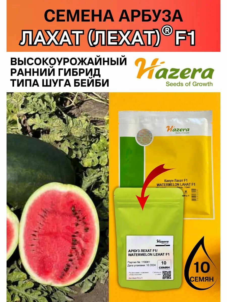 Семена арбуза Лехат (Лахат) F1 10 шт HAZERA, профессиональные семена