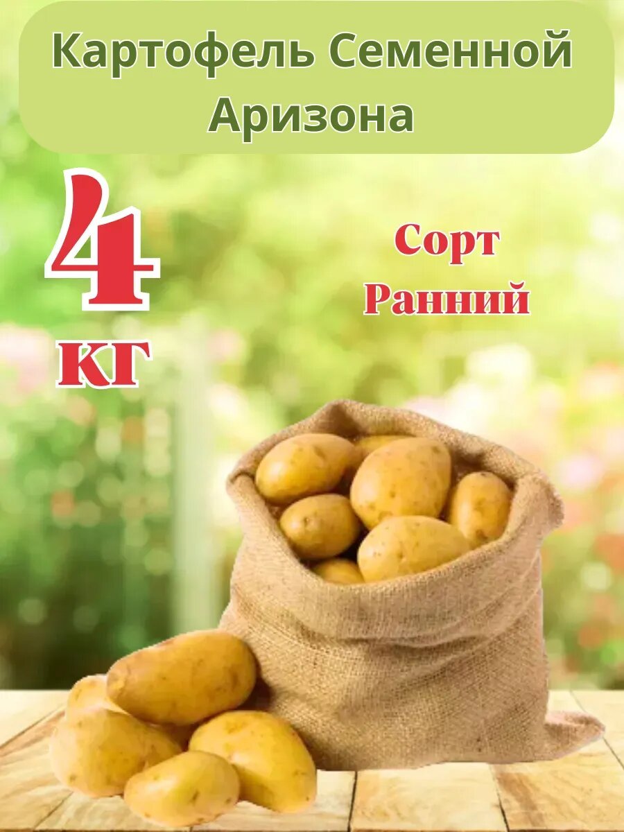 Картофель семенной " Аризона" 4 кг