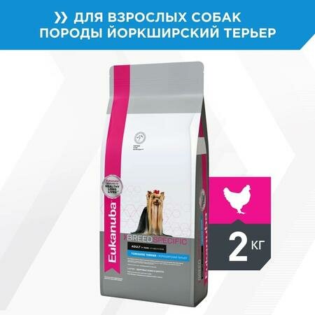 EUKANUBA BREED SPECIFIC YORKSHIRE TERRIER ADULT 2 шт по 2 кг сухой корм для взрослых собак породы Йоркширский Терьер