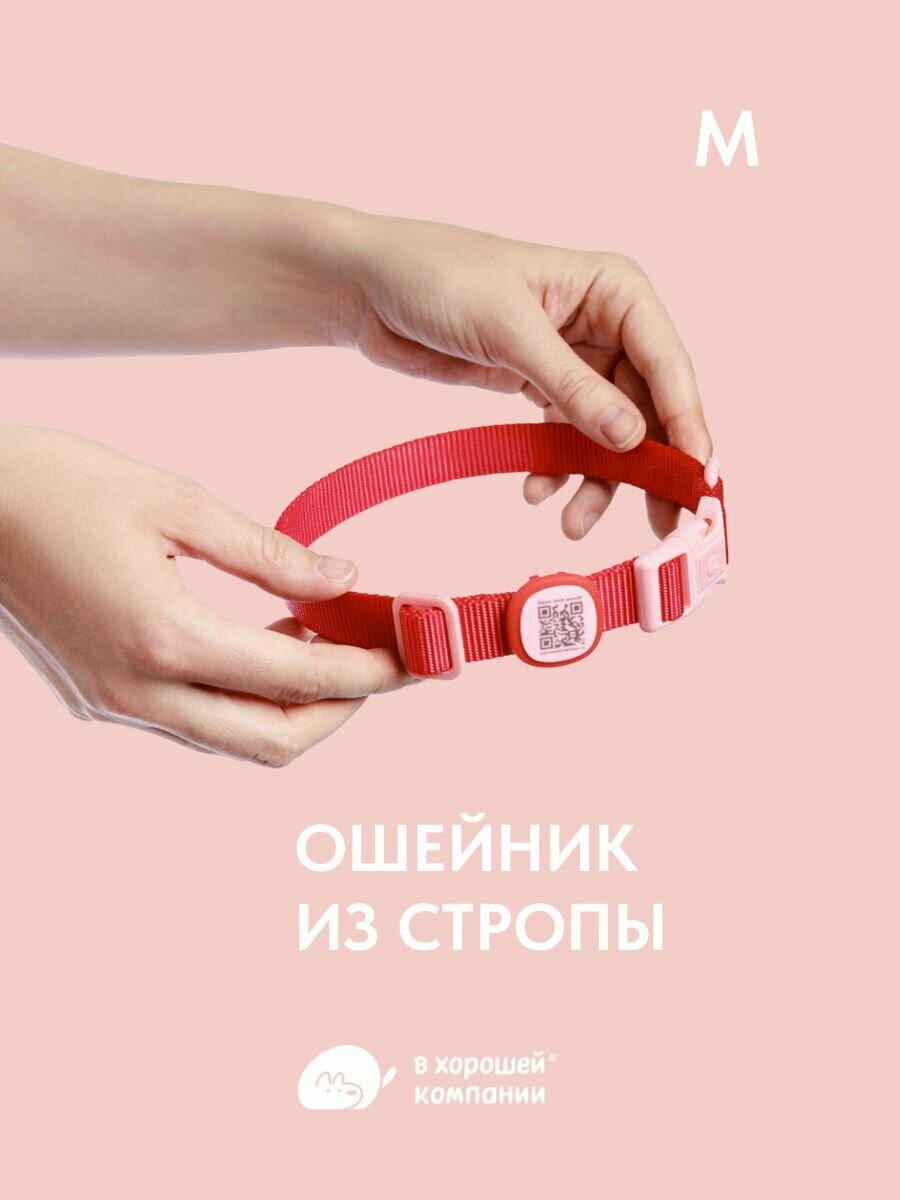 Ошейник с адресником для собак средних пород IN GOOD COMPANY В хорошей компании (М / Настоящий красный / стропа)