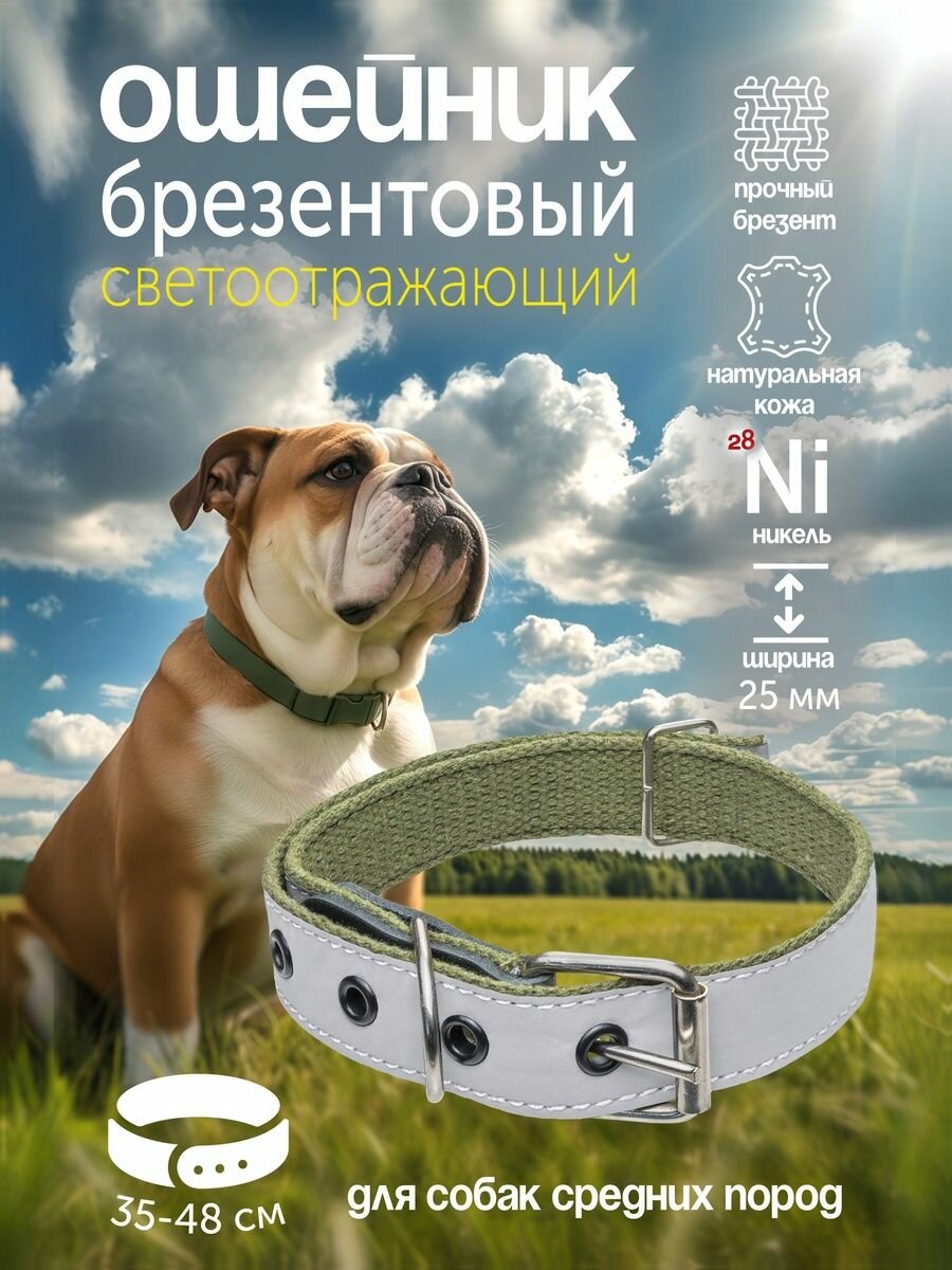 Ошейник для собак брезентовый светоотражающий ZooMoDa