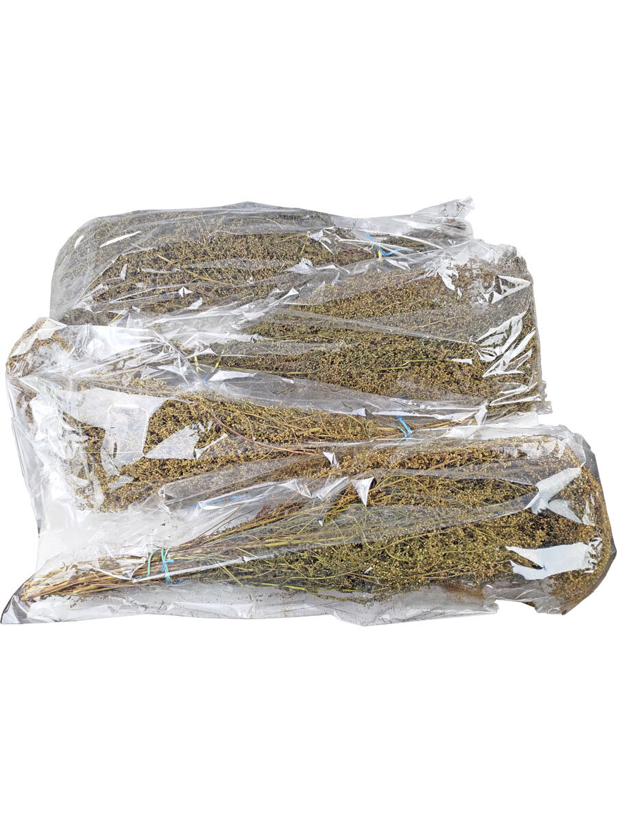 Набор травяных веников из полыни лимонной (4 шт.), урожай 2025