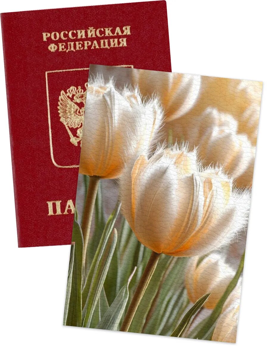 Обложка для паспорта