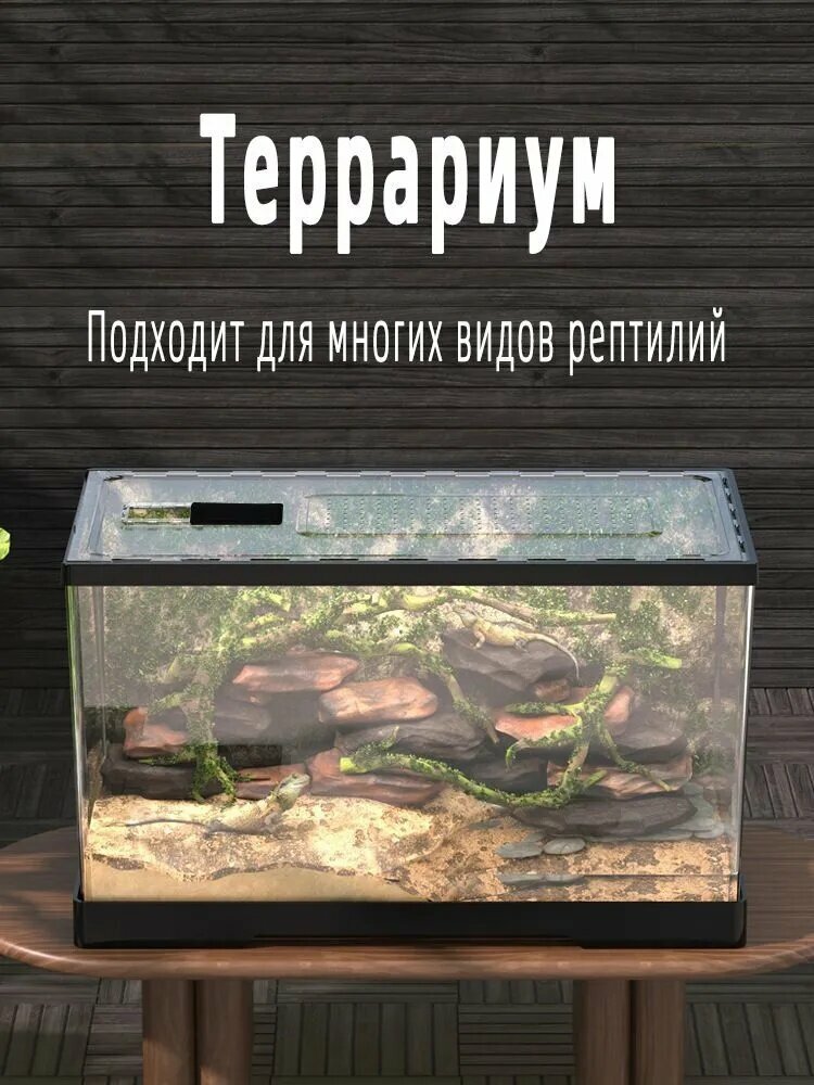 Террариум для рептилий , улиток , паука360 пейзажКонструкция воздухопроницаемых отверстий