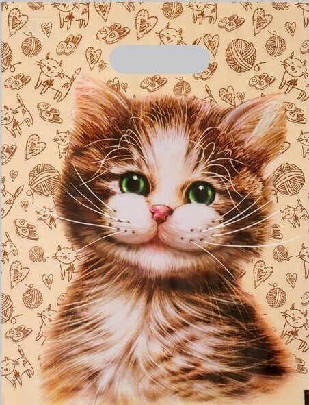 !09 Комплект из 15 штук: Пакет "Кузя", полиэтиленовый с вырубной ручкой, 60 мкм , 31 х 40 см.