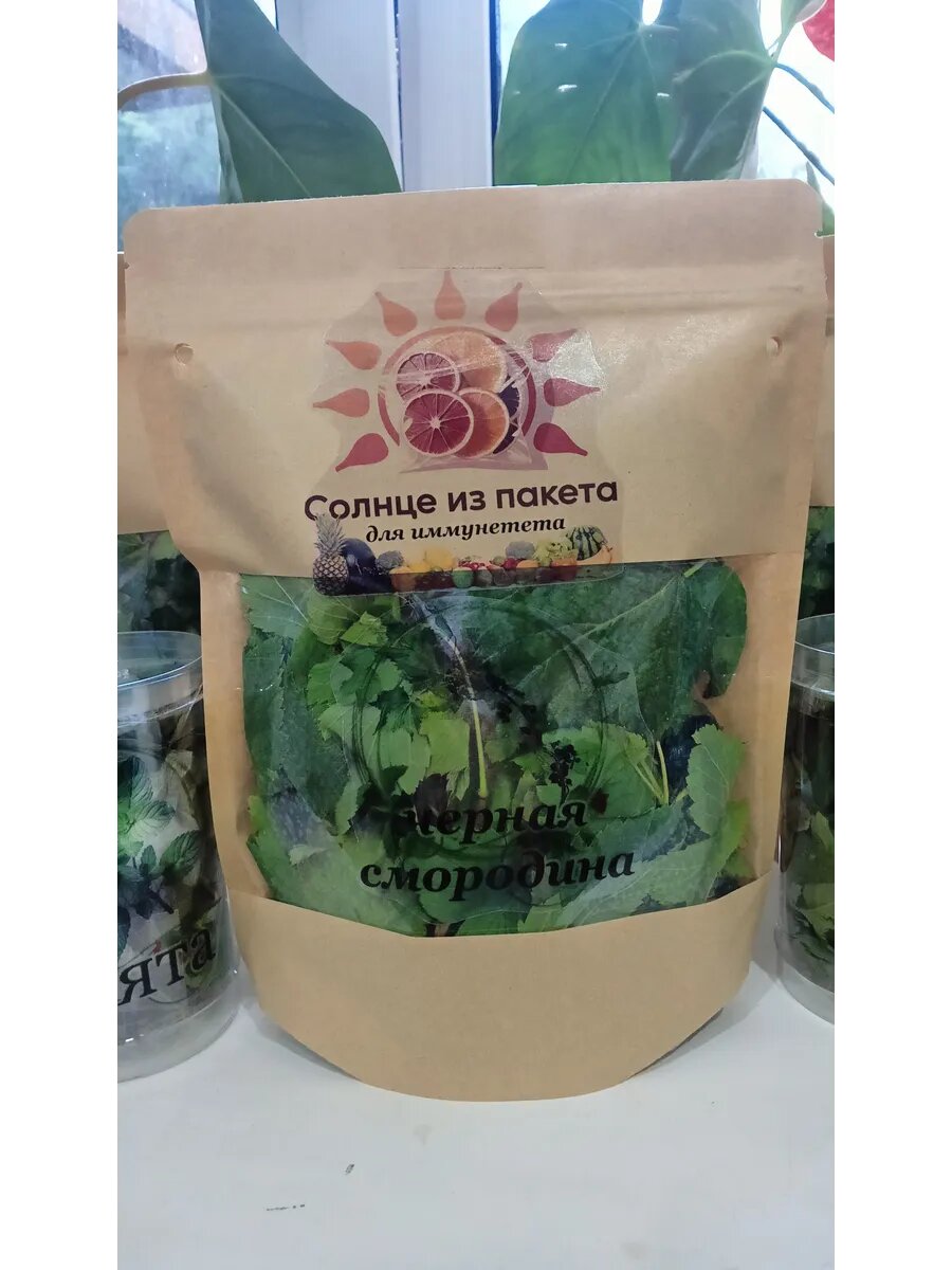 Чёрная смородина, веточки и листья, запарка для бани
