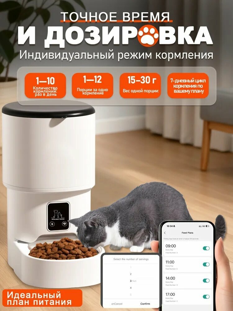 Автокормушка — фото 1