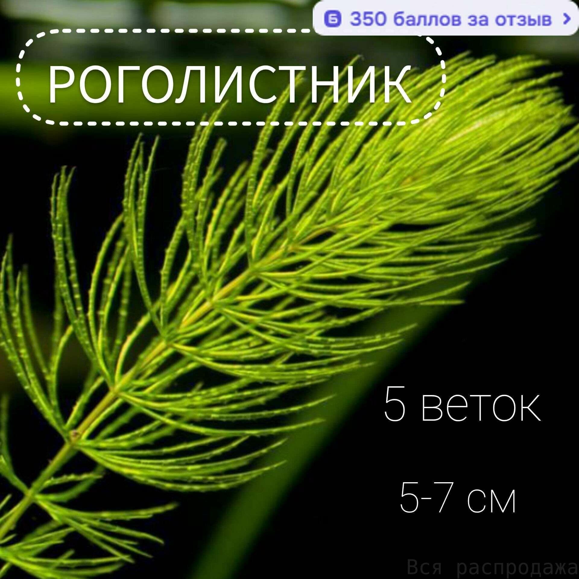 Декорация для аквариума/террариума