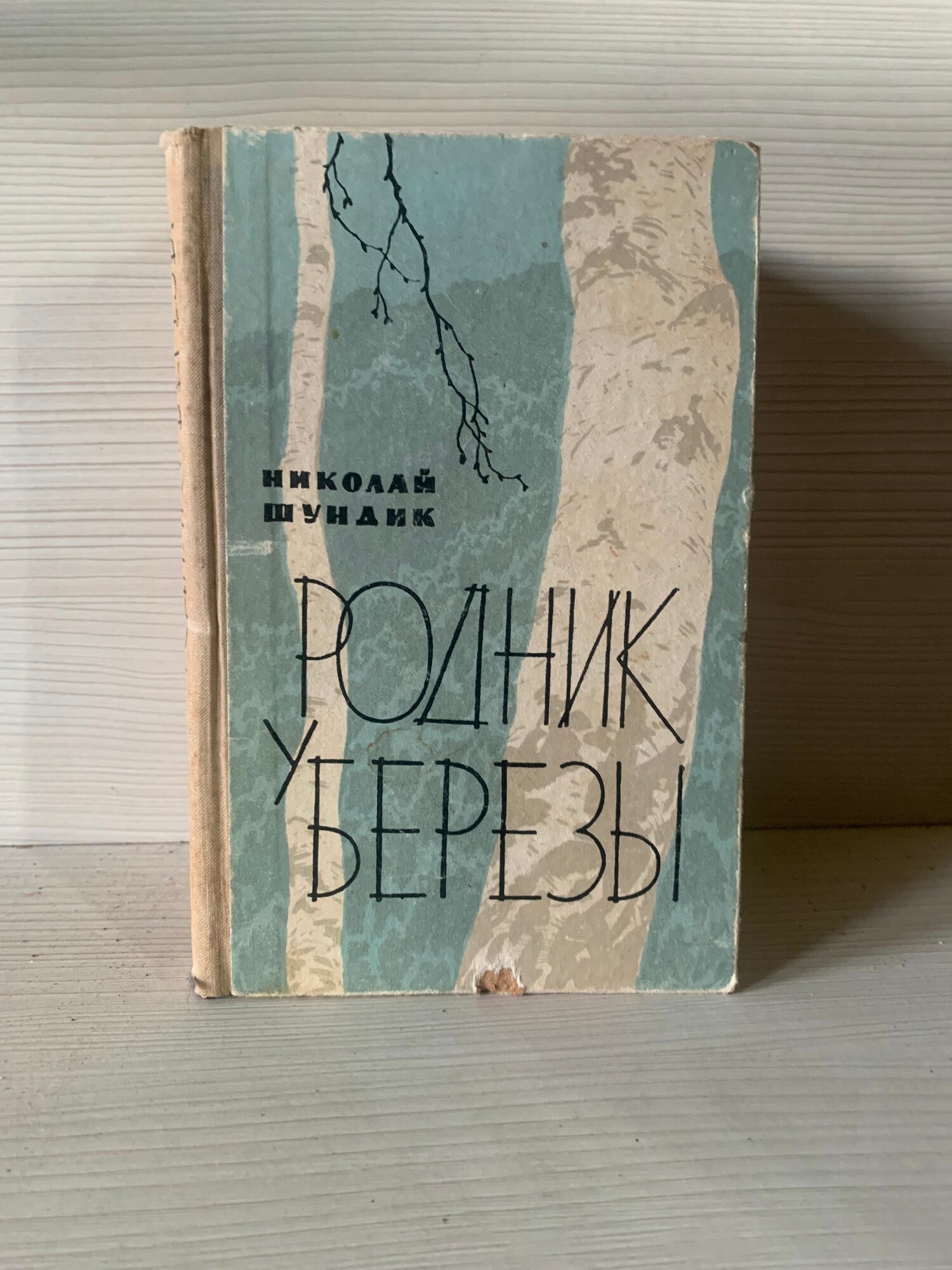Родник у березы