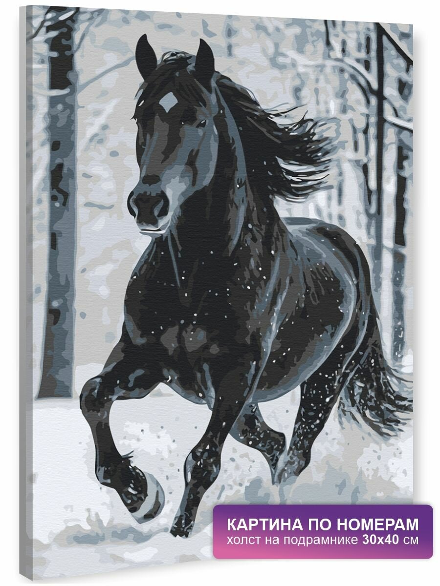 Картина по номерам на холсте с подрамником 30х40 см. Природа, животные, рыбы, птицы. Лошади и кони. " Лошади", арт. 7022/