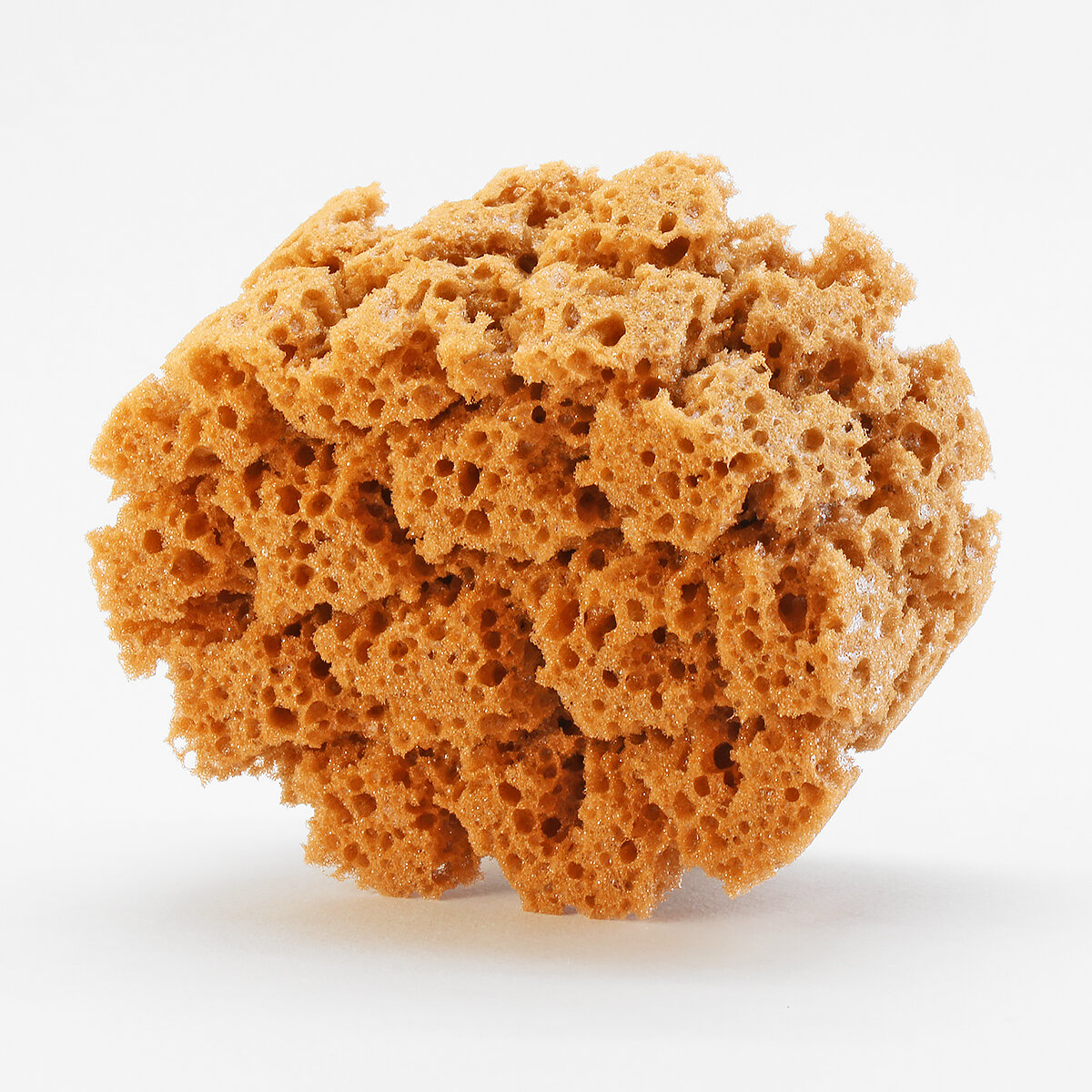 Губка для декоративных красок и штукатурок, 12 х 9,5 см, GSB