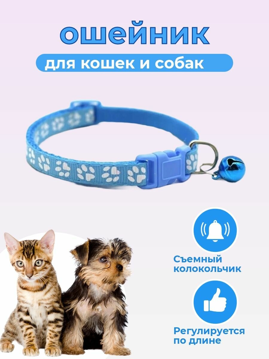 Ошейник, для кошек и собак, нейлон, декоративный, XS, голубой