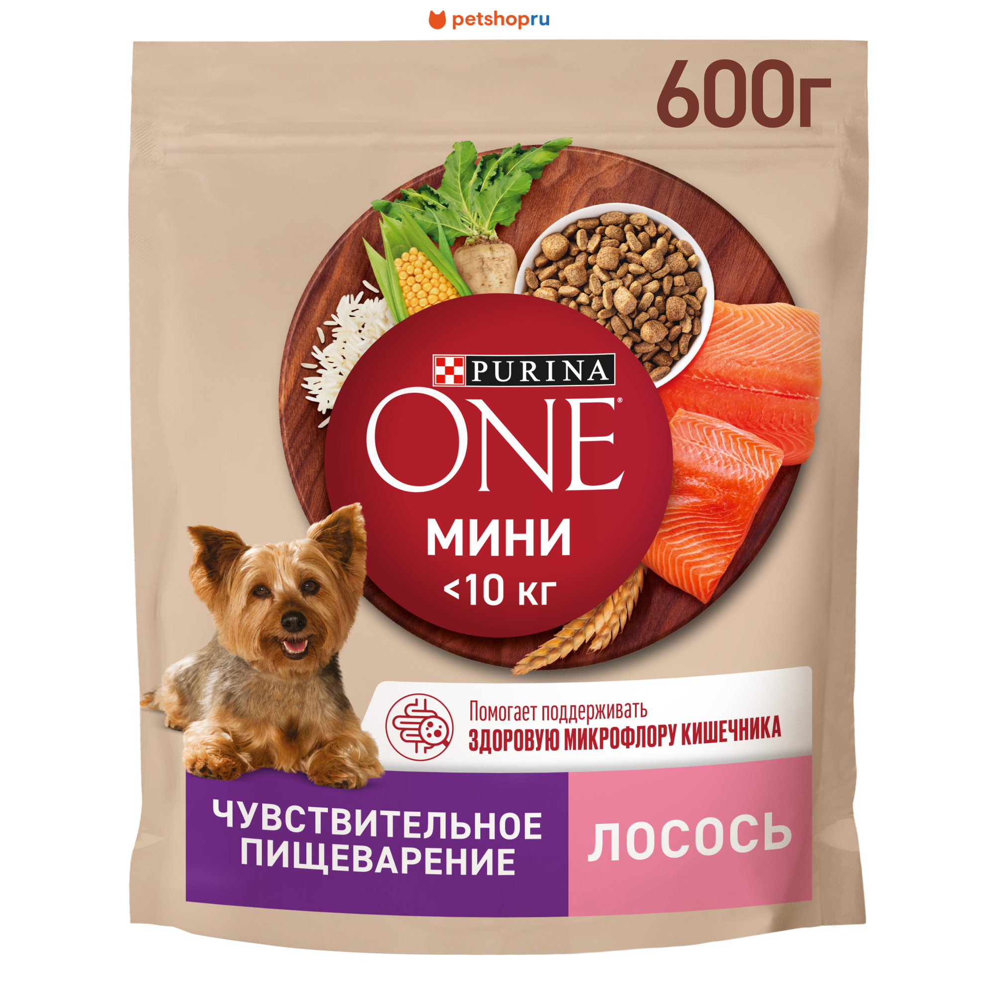 Purina ONE для взрослых собак мелких пород с чувствительным пищеварением, с лососем и рисом, 600г