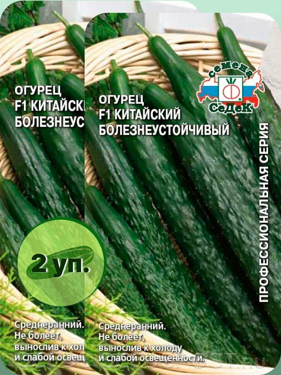 Семена огурца "СеДеК" китайский болезнеустойчивый F1 (2 уп.)