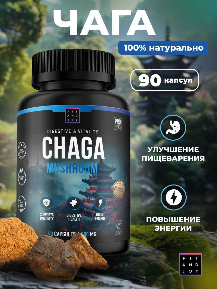 Гриб чага березовая экстракт в капсулах Fit and Joy натуральная 90 шт 500мг
