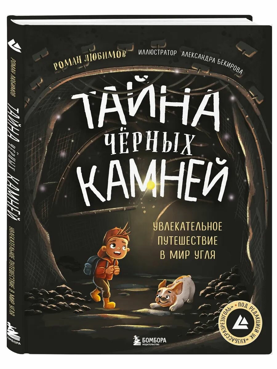 Тайна чёрных камней. Увлекательное путешествие в мир угля
