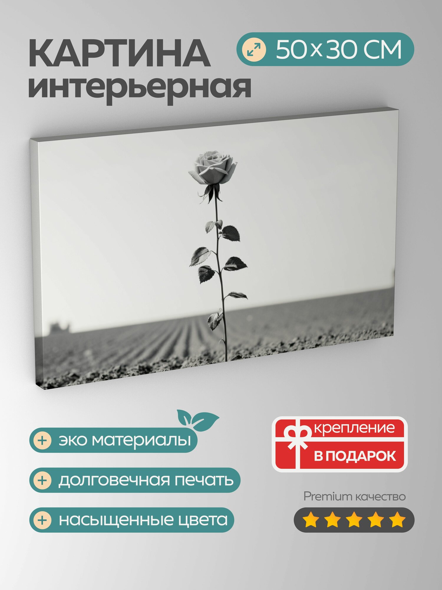 Картина на холсте интерьерная 50х30 см, черно-белая, фотография, роза, одинокая, поле, лето, контраст, элегантная форма