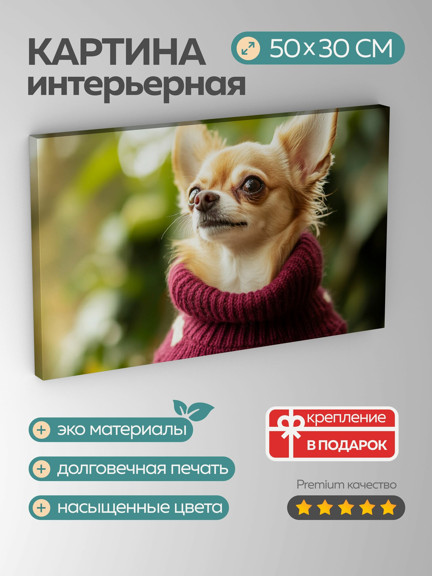 Картина на холсте интерьерная 50х30 см, чихуахуа, бордовый свитер, высокое разрешение, игривый момент, жизнерадостный