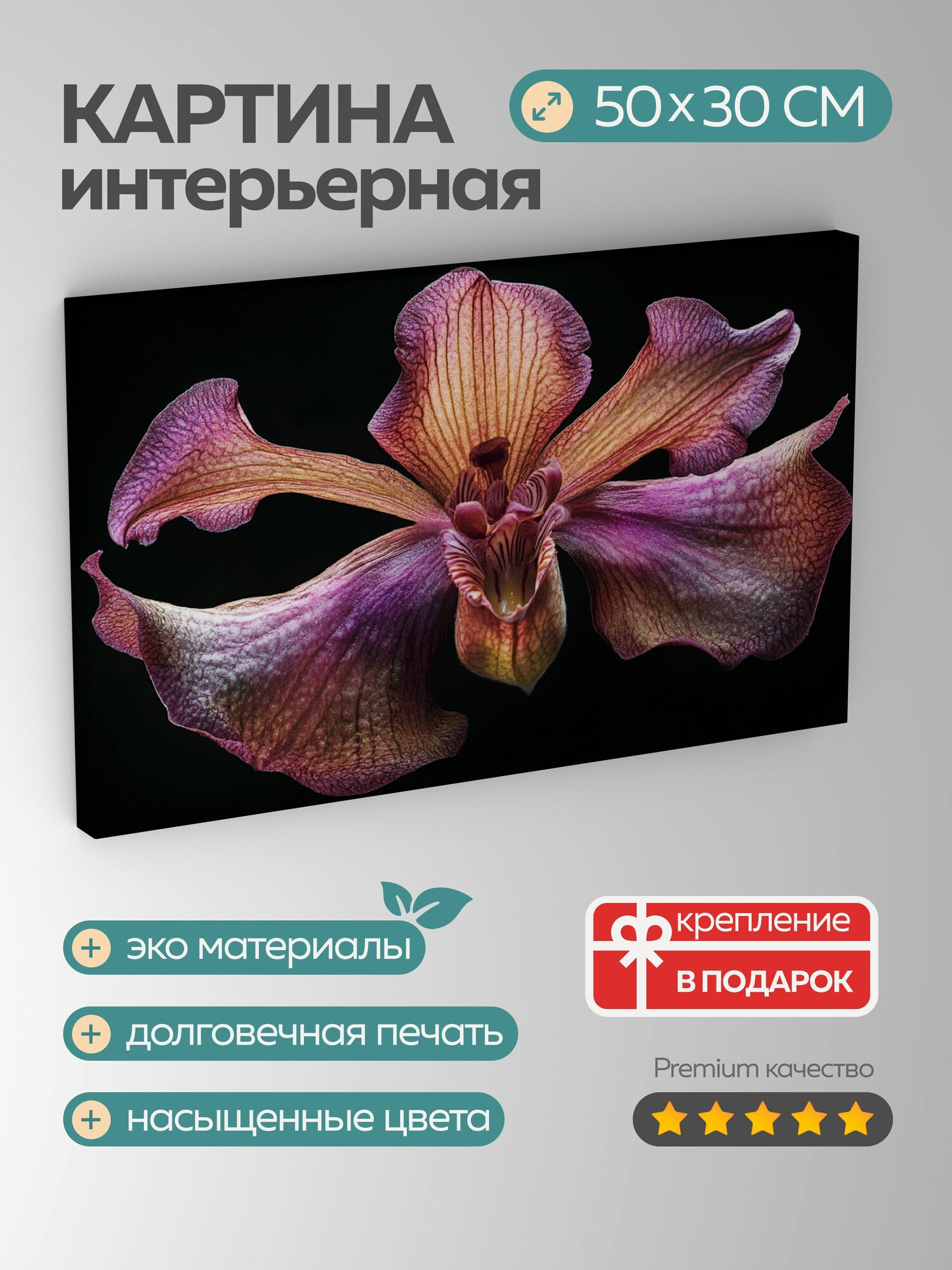 Картина на холсте интерьерная 50х30 см, Орхидея, экзотический вид, высокое разрешение, яркие лепестки, насыщенные цвета