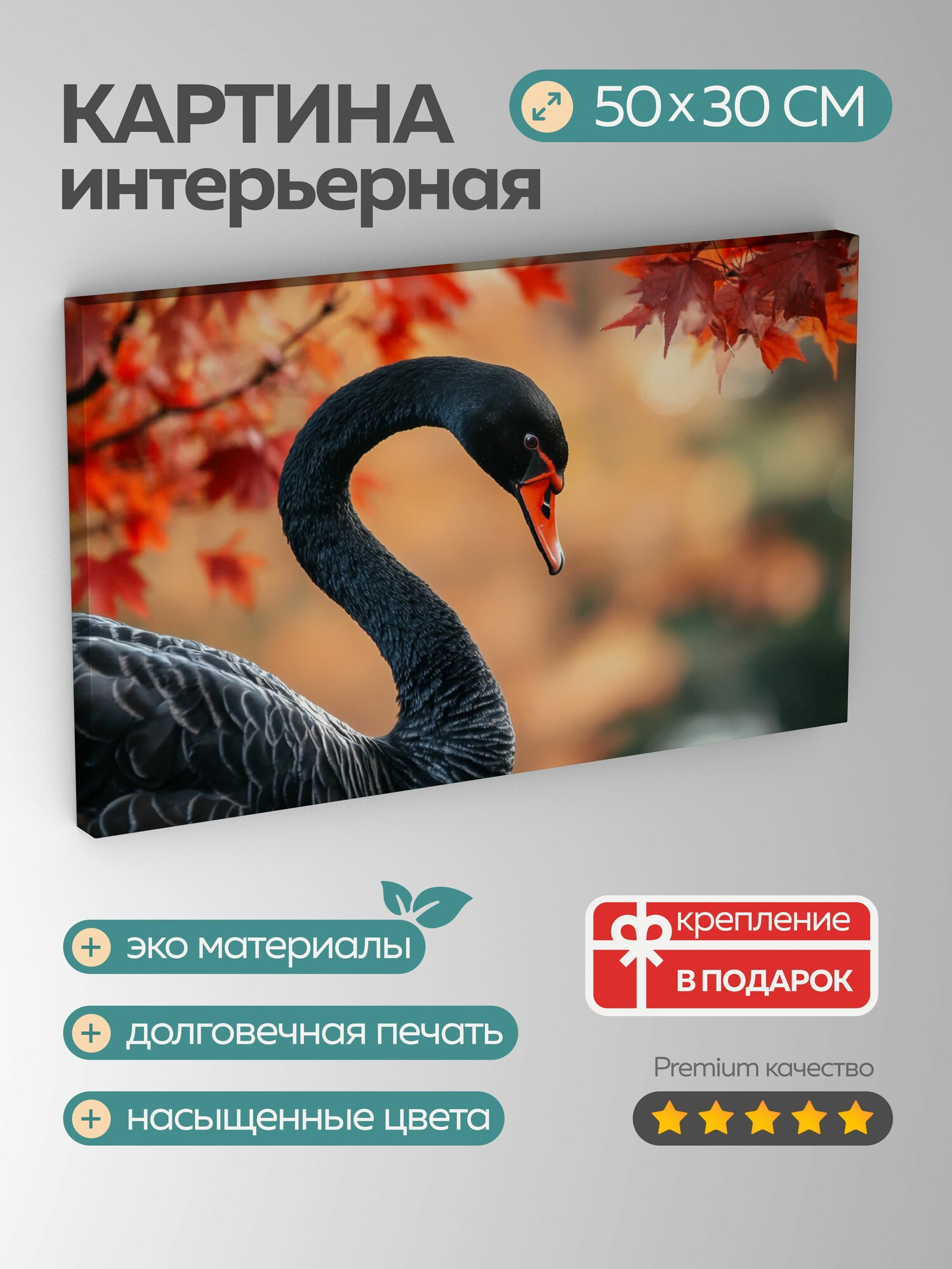 Картина на холсте интерьерная 50х30 см, Черный лебедь, осенняя листва, высокое разрешение, тонкая шея, контраст