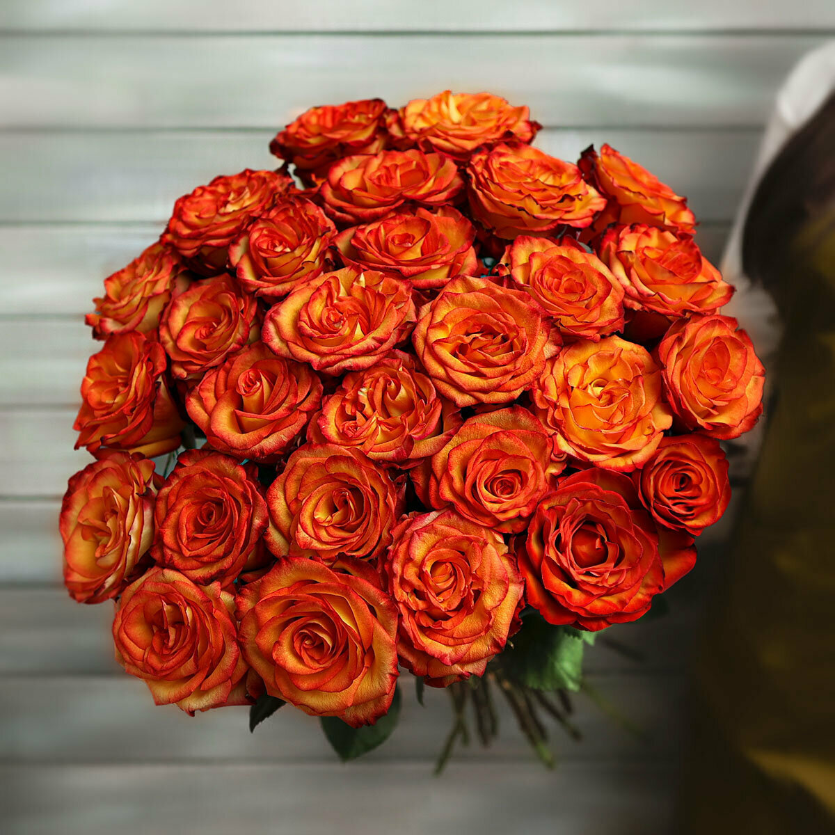 29 оранжевых роз Эквадор, высота 50 см, монобукет от Букет Маркет