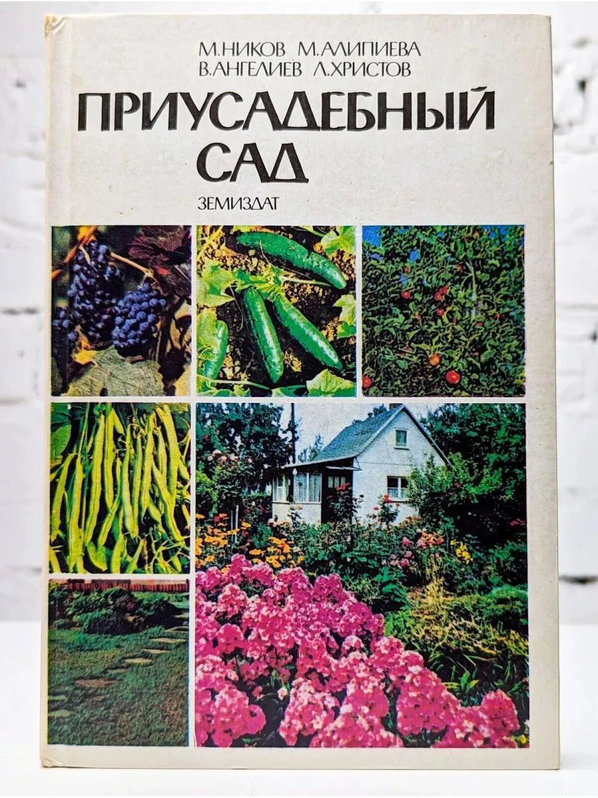 Приусадебный сад