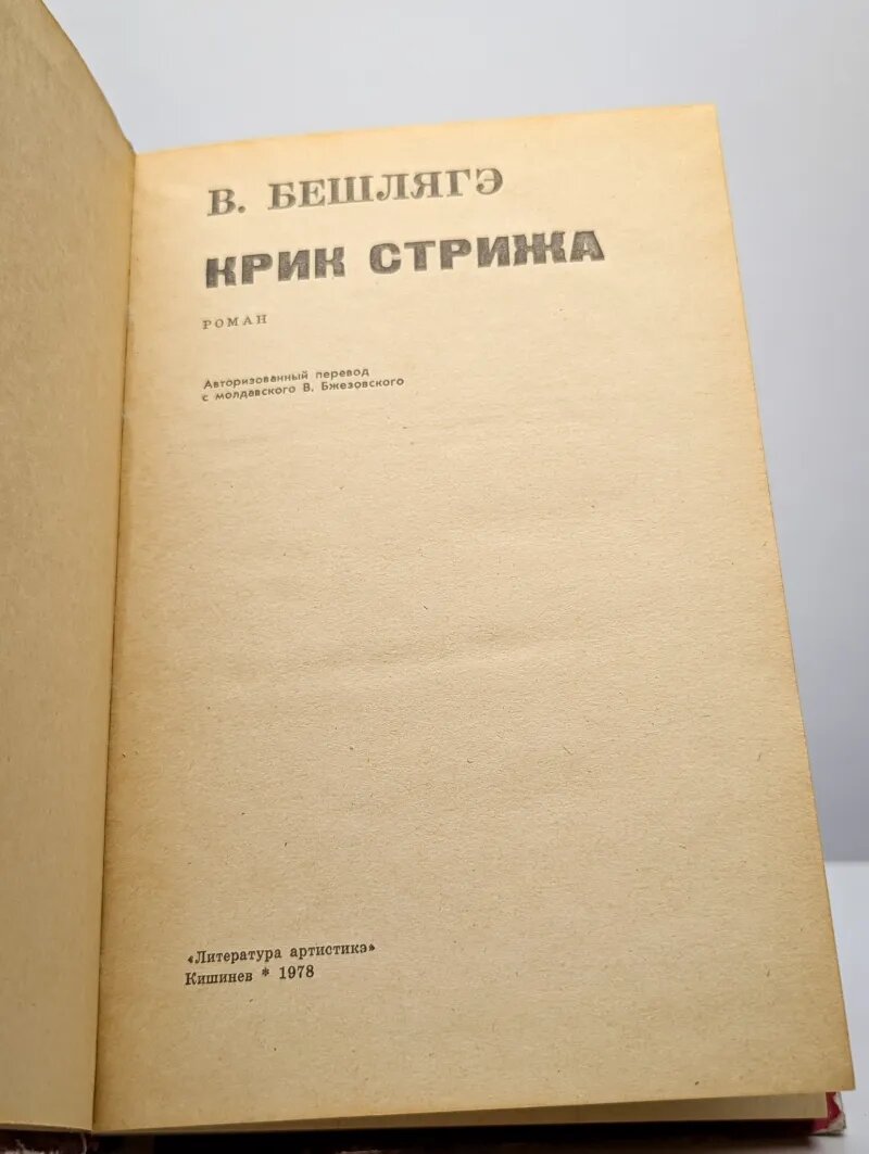 Крик стрижа — фото 1