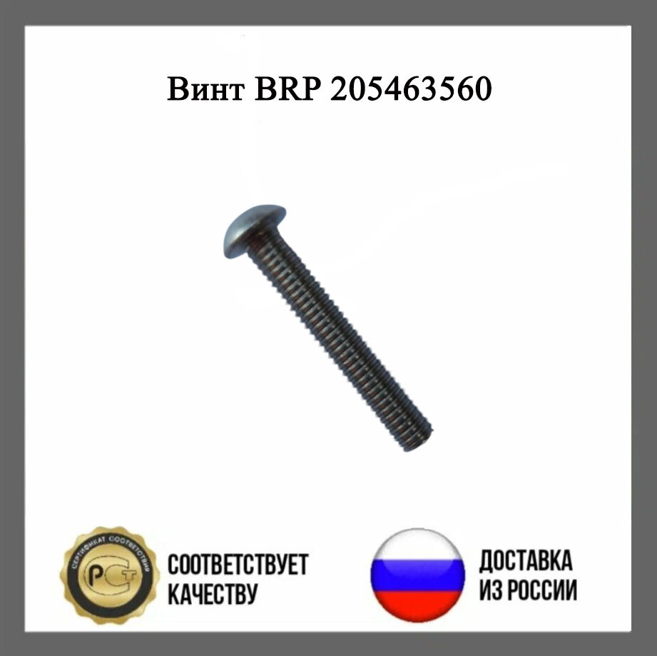 Винт BRP 205463560
