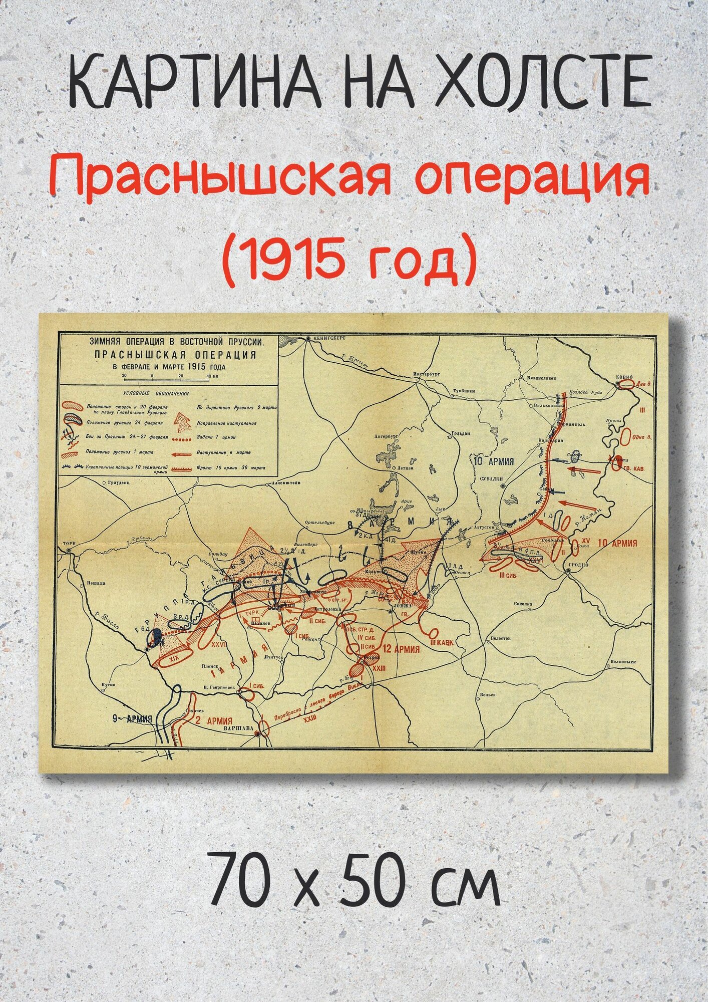 Картина с исторической схемой "Праснышсская операция 1915 год" 70х50 см