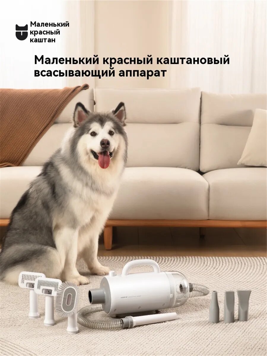 Сушилка для животных "Интеллектуальная", для кошек и собак, белая