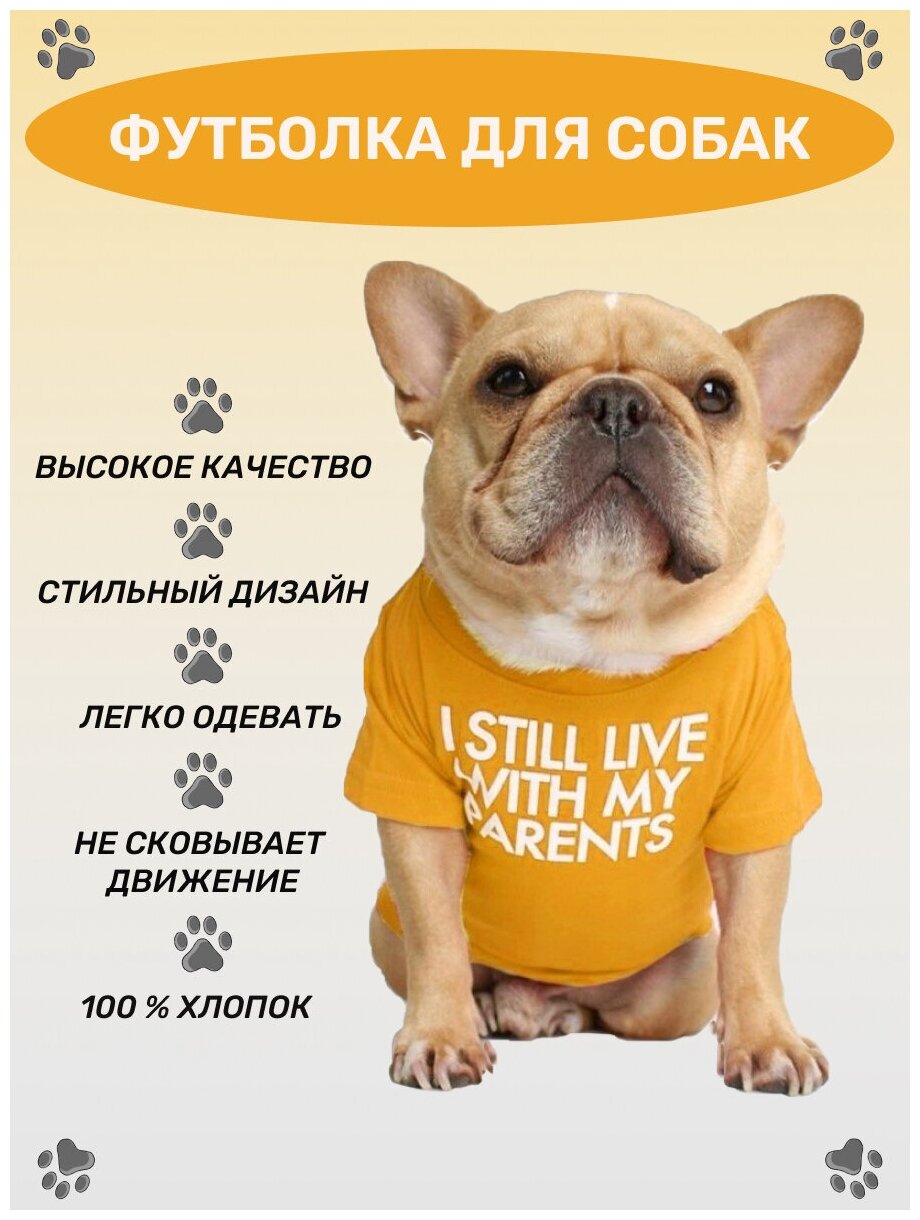 Футболка для собак мелких и средних пород, для кошек, для котов, для щенков и котят. Одежда для собак и кошек. Размер-L Желтая