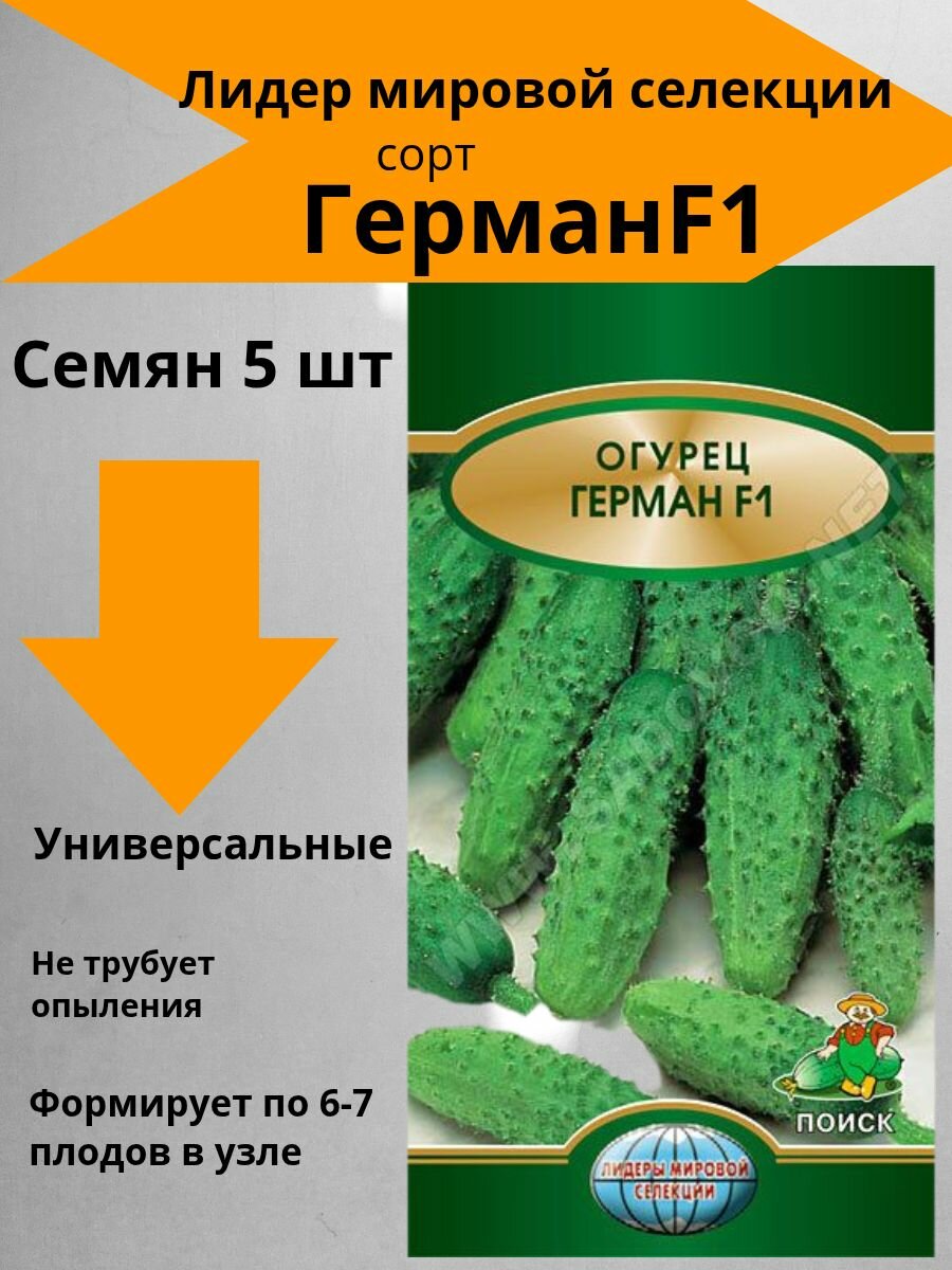 Семена огурцов Герман F1