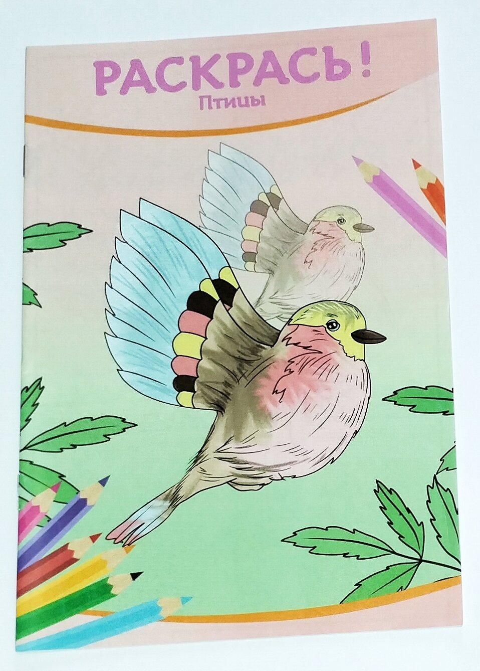 Раскрась! Птицы