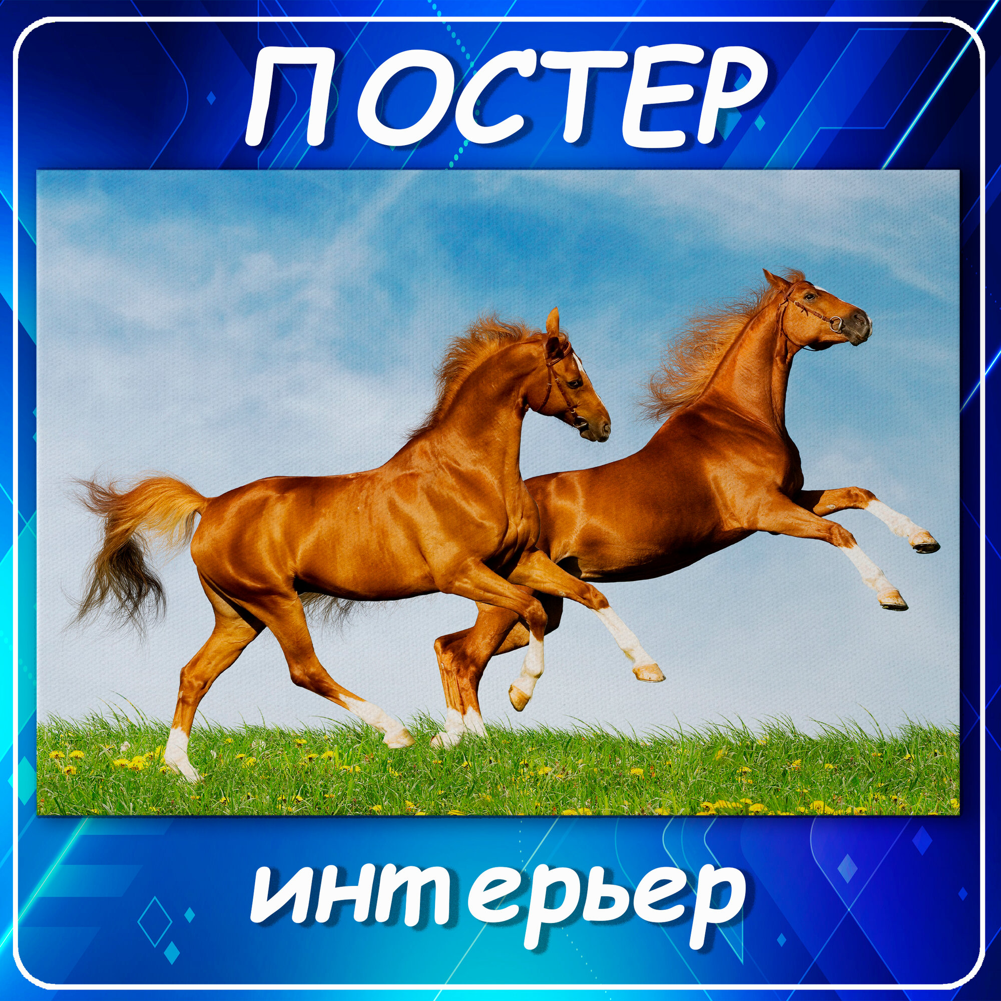 Постер 02, плакат, животные, лошади, кони, постер интерьерный, арт 1-2 30х40 см