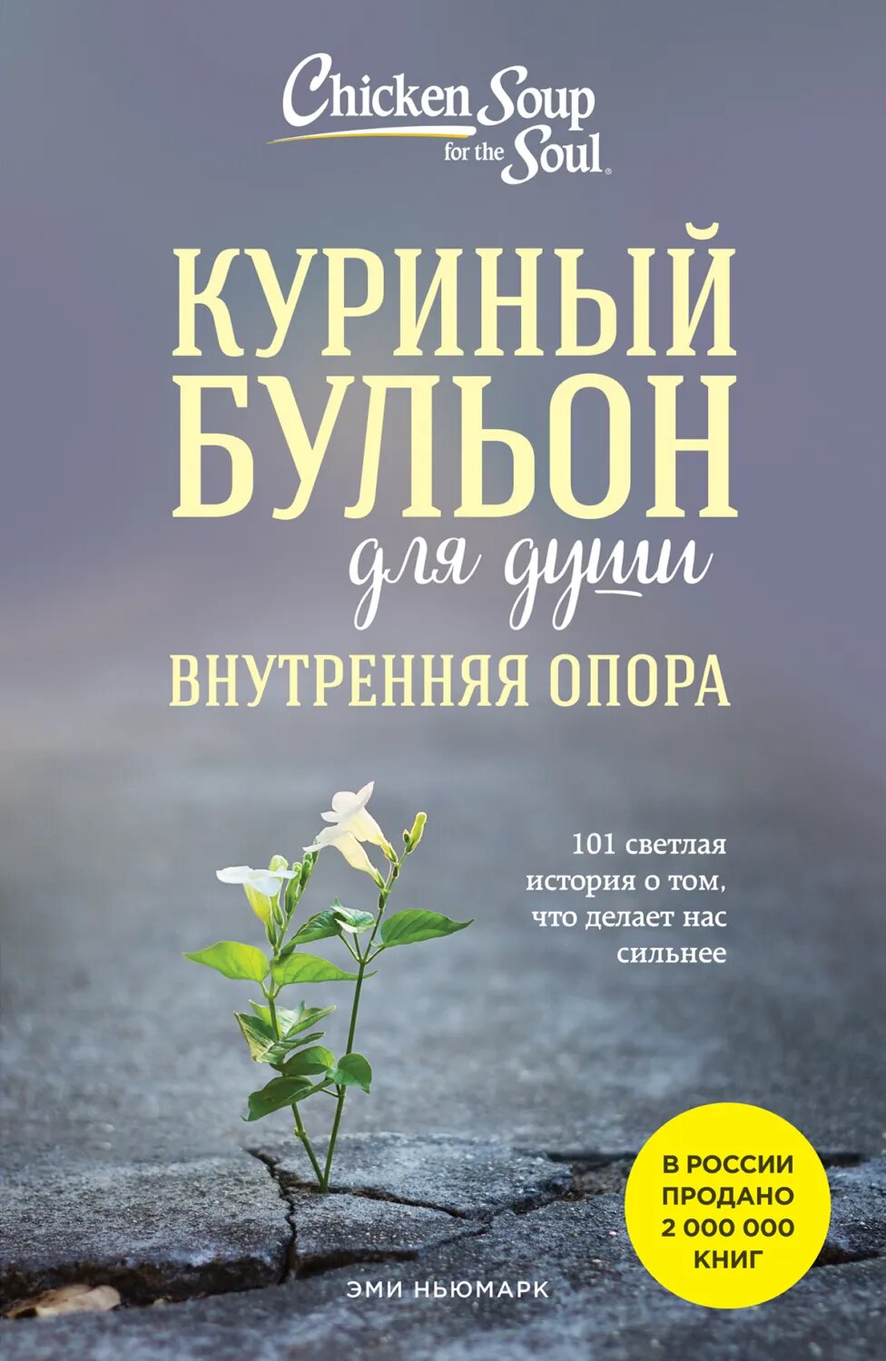 Куриный бульон для души. Внутренняя опора. 101 светлая история о том, что делает нас сильнее [Цифровая книга]