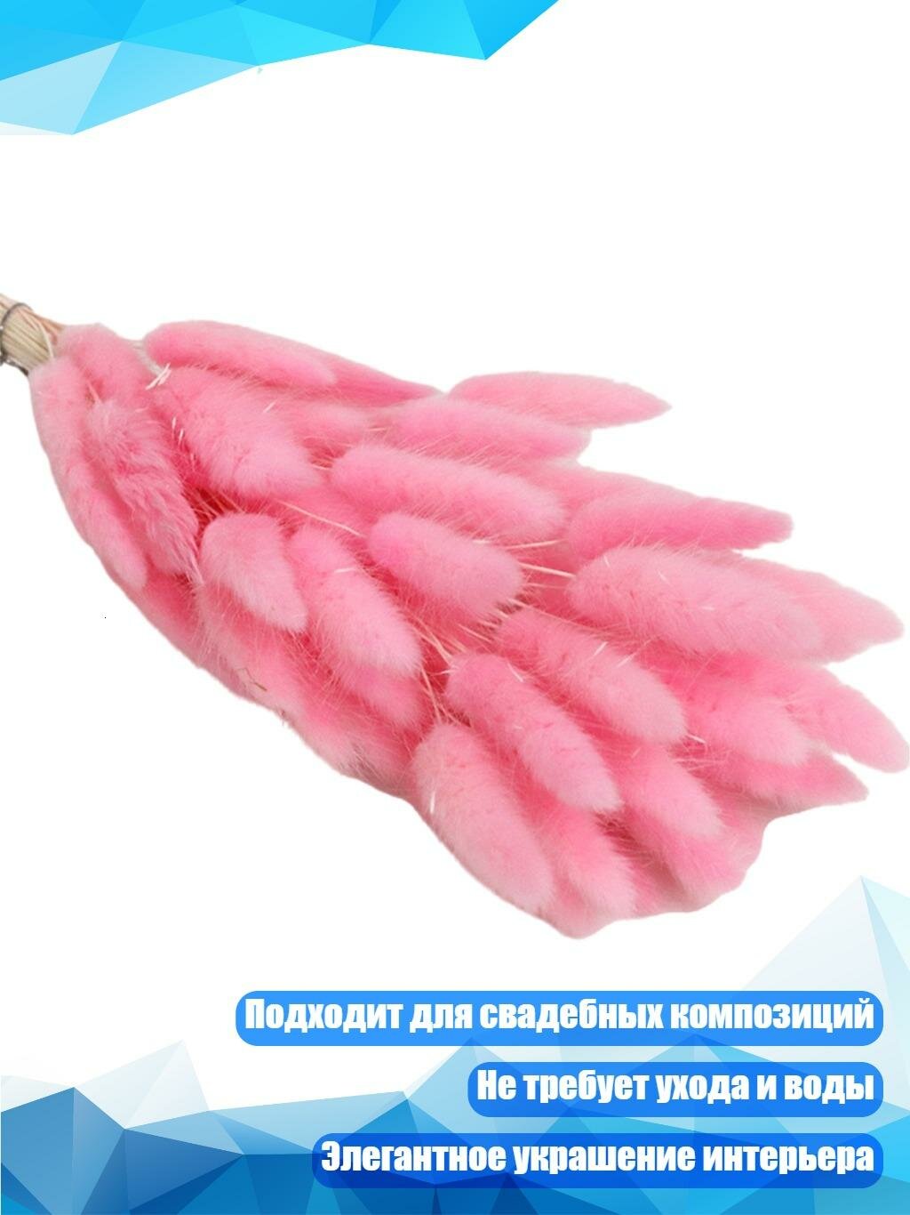 55pcs Natural Dry Pampasgrass 17,7 -дюймовый сушеные кролики цветок хвоста для домашних свадебных композиций, - Сплошной цвет 42