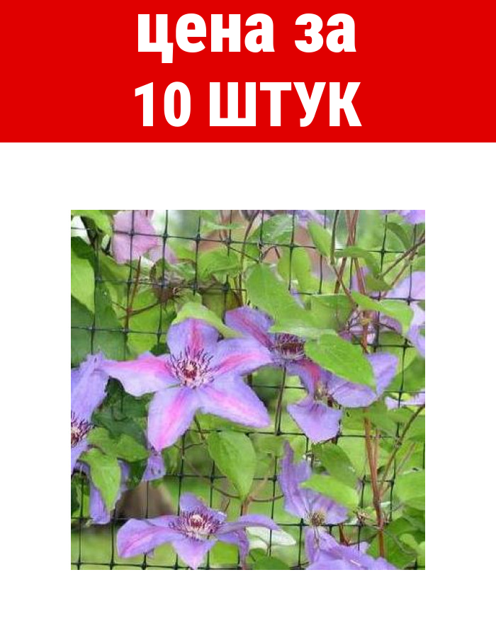 Комплект 10 шт, сетка для клематисов 1*6М хаки протэкт