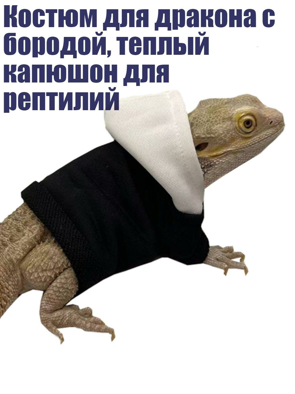 Костюм для дракона с бородой, теплый капюшон для рептилий, Черное и белое