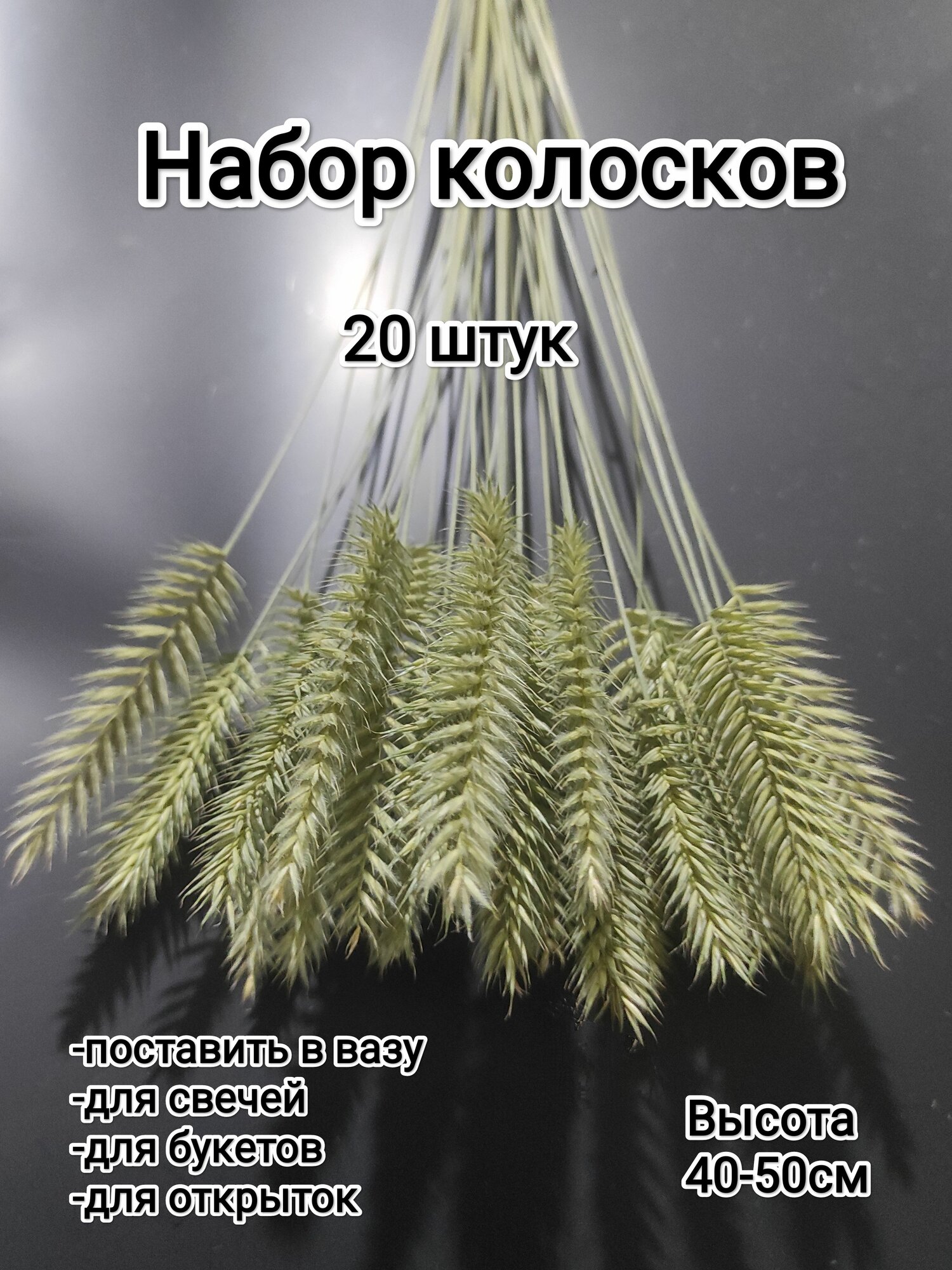 Набор сухоцветов, 20 штук