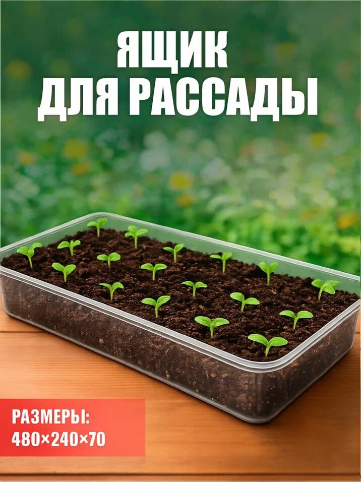 Ящик для рассады для подоконника пластиковый 480*240*70