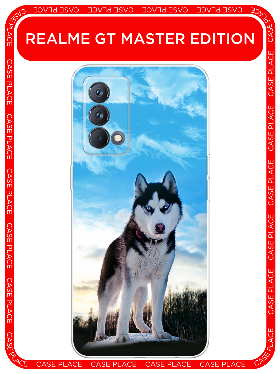 Чехол на Realme GT Master Edition / Реалми GT Мастер Эдишн с принтом Хаски 3