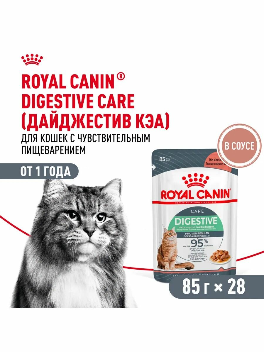 Влажный корм для кошек Royal Canin Digestive Care с чувствительным пищеварением, кусочки в соусе, 85 г х 28 шт