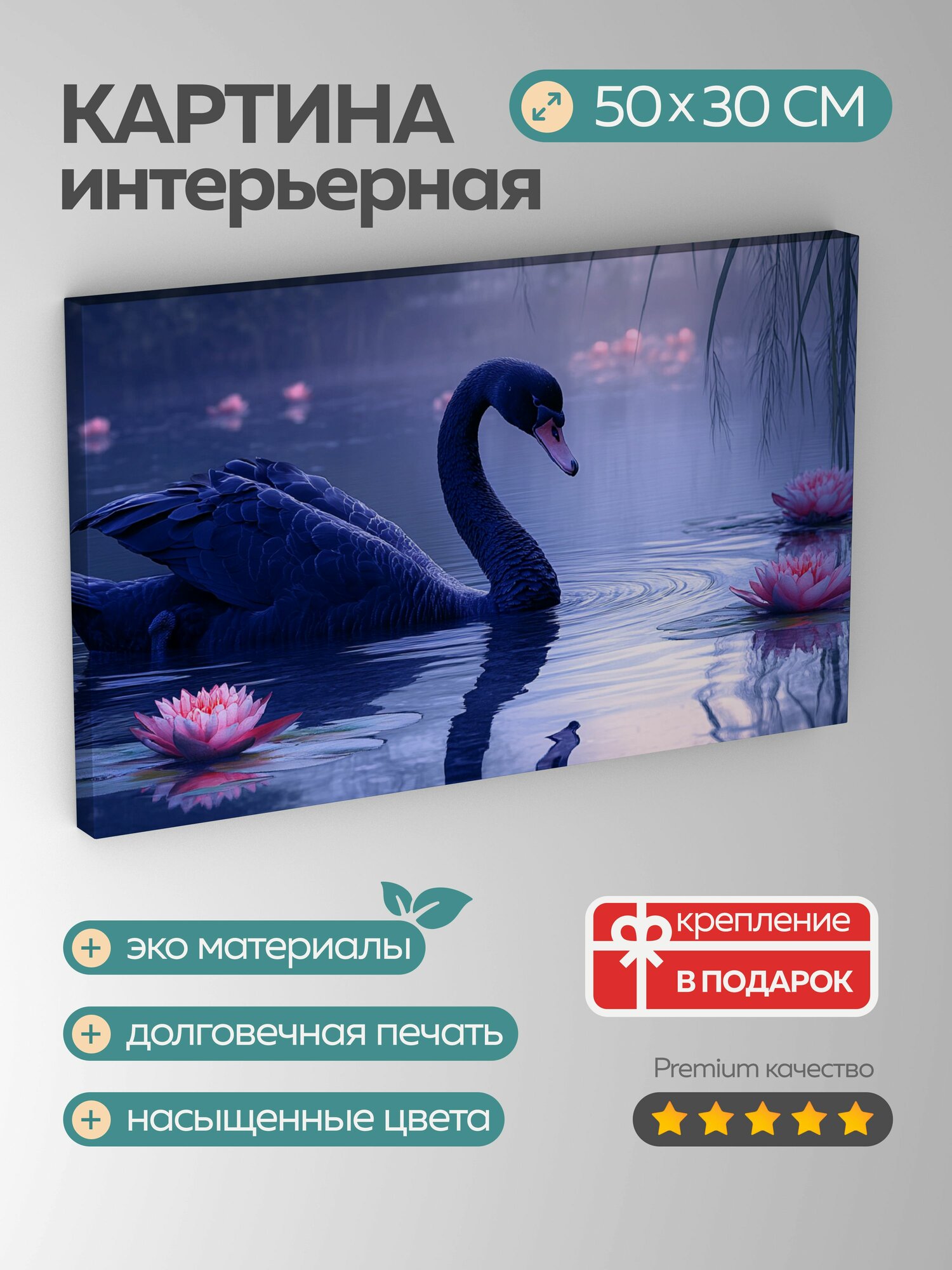 Картина на холсте интерьерная 50х30 см, Черный лебедь, величественный, сумерки, пруд, отражение, вода, лилии, тростник